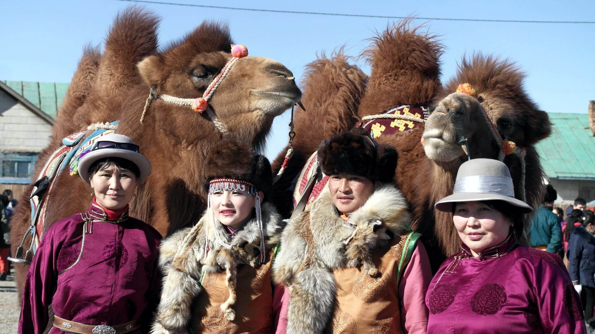 Festivals In Mongolia I Thousand Camel Festival